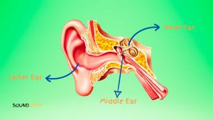 How to Know Your Earbud Size: A Complete Guide